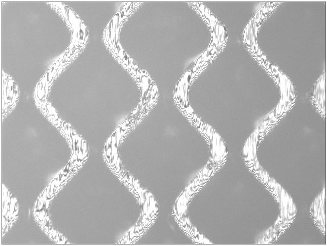 What is White Light Interferometry in Anilox Inspection ...